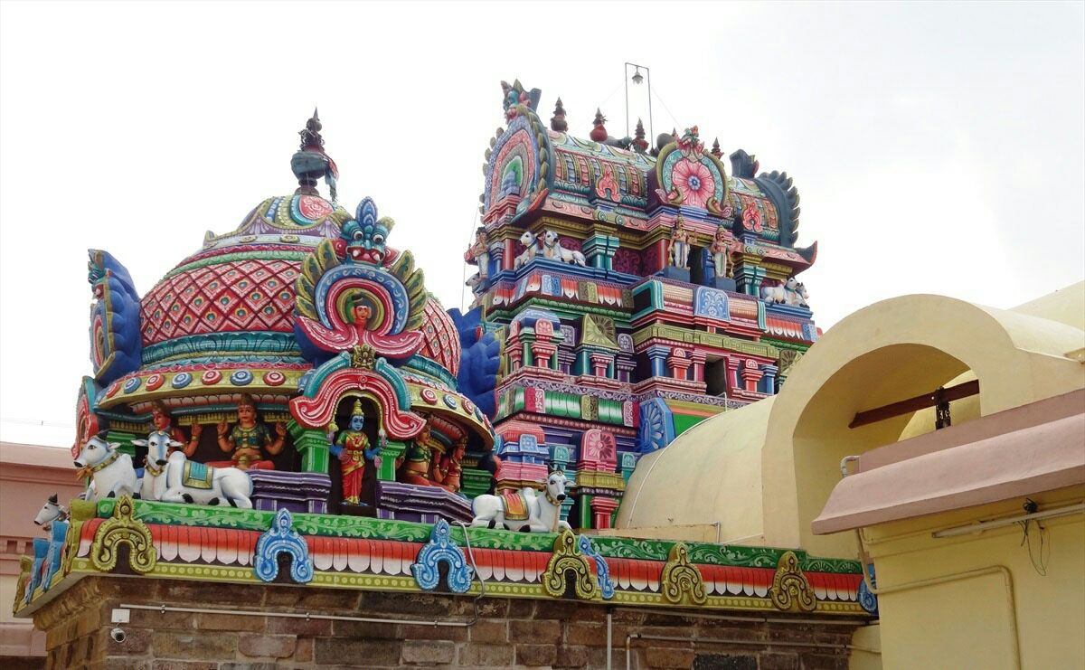 Amirthakadeswarar Temple Sakkottai | 7th CE Padal Petra Temple