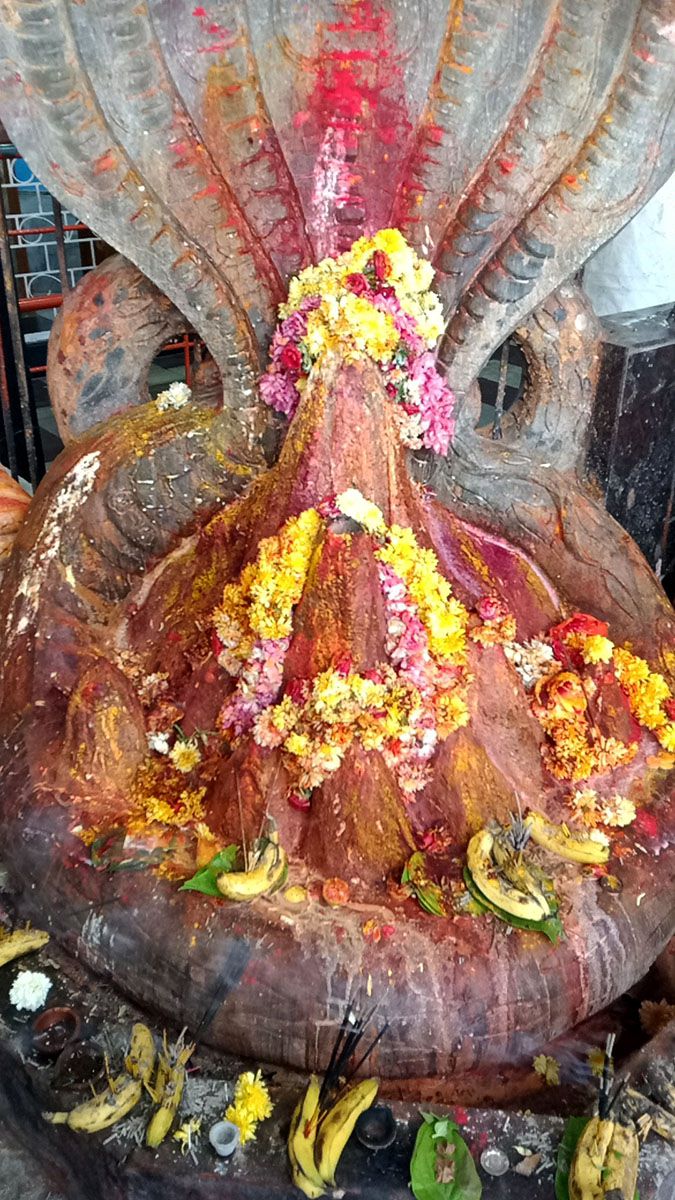 Swayambhu Nagaraja Temple Bengaluru - Famous Temples Of India